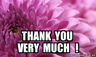 Meme Personalizado - Thank you very much ! - 31379698