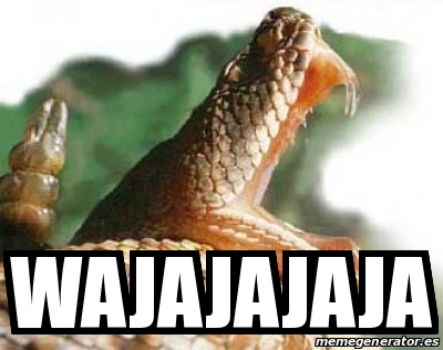 Meme Personalizado - Wajajajaja - 31384259