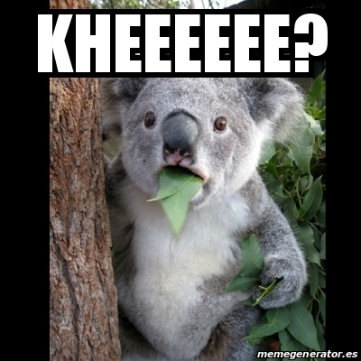 Meme Koala - KHEEEEEE? - 31385663