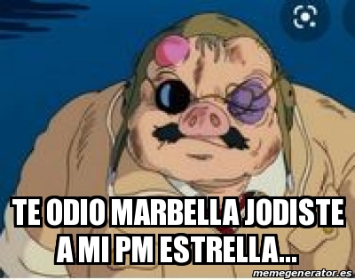 Meme Personalizado - TE odio marbella jodiste a mi pm estrella ...