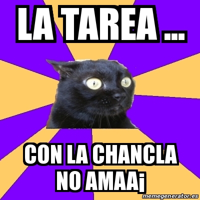 Meme Anxiety Cat - La tarea ... Con la chancla no amaaÂ¡ - 31386324