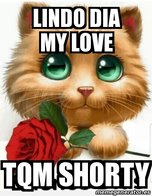 Meme Personalizado - Lindo dia my love Tqm shorty - 31386872