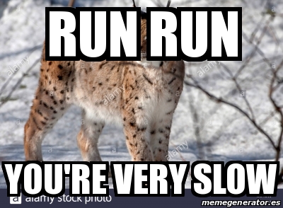 Meme Personalizado - run run you're very slow - 31387089