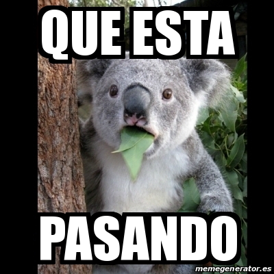 Meme Koala - Que esta Pasando - 31387415