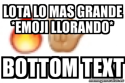 Meme Personalizado - LOTA LO MAS GRANDE *emoji llorando* bottom text ...