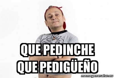 Meme Personalizado - que pedinche que pedigÃ¼eÃ±o - 31394091