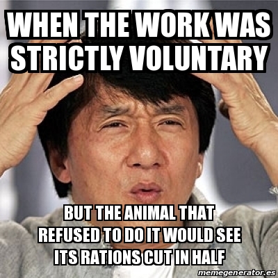 Meme Jackie Chan - When the work was strictly voluntary But the animal ...