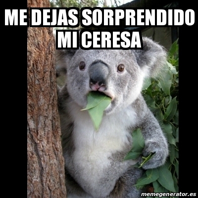 Meme Koala - Me dejas sorprendido mi ceresa - 31395863