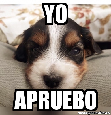 Meme Personalizado - Yo APRUEBO - 31397688