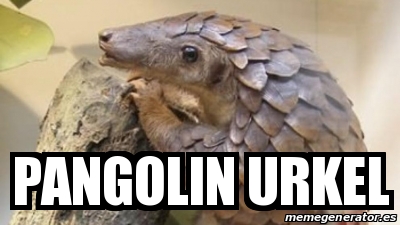 Meme Personalizado - pangolin urkel - 31399382