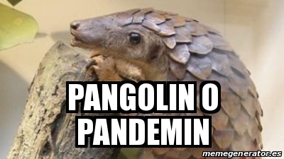 Meme Personalizado - pangolin o pandemin - 31399383