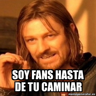 Meme Boromir - Soy fans hasta de tu caminar - 31040241