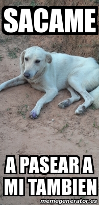 Meme Personalizado - Sacame A pasear a mi tambien - 31041077