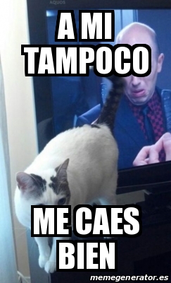 Meme Personalizado - a mi tampoco Me caes bien - 31041618