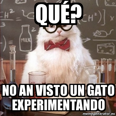 Meme Chemistry Cat - quÃ©? no an visto un gato experimentando - 31047993