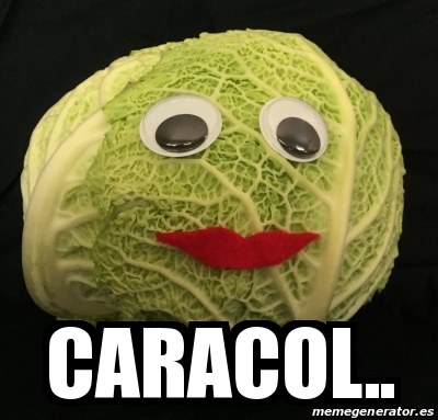 Meme Personalizado - Caracol.. - 31048853