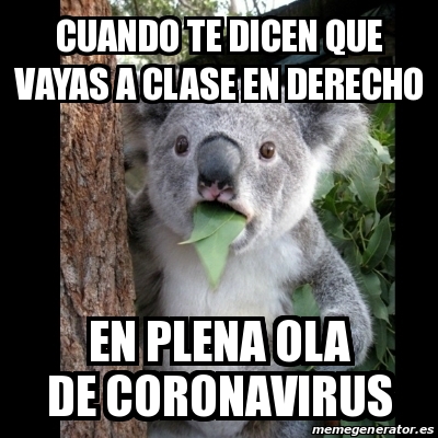 Meme Koala - Cuando te dicen que vayas a clase en Derecho En plena ola de coronavirus - 31411961