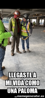 Meme Personalizado - Llegaste a mi vida como una paloma - 31412854