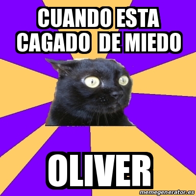 Meme Anxiety Cat - Cuando esta cagado de miedo Oliver - 31414409