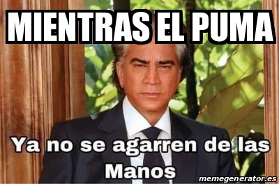 Meme Personalizado - Mientras el puma - 31414466