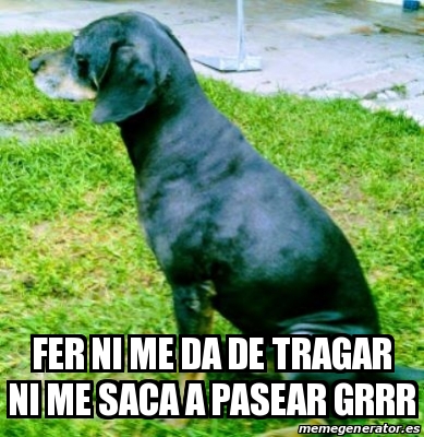 Meme Personalizado - FER NI ME DA DE TRAGAR NI ME SACA A PASEAR GRRR ...