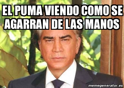 Meme Personalizado - EL PUMA VIENDO COMO SE AGARRAN DE LAS MANOS - 31421737