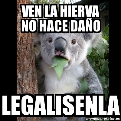 Meme Koala - Ven la hierva no hace daÃ±o Legalisenla - 31422519