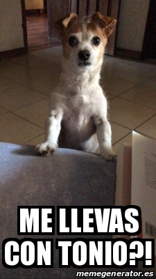Meme Personalizado - Me llevas con Tonio?! - 31422533