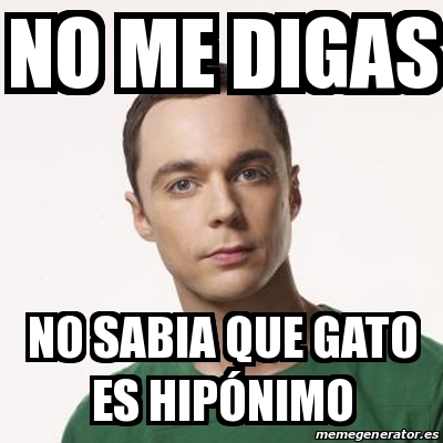Meme Sheldon Cooper - no me digas no sabia que GATO ES HIPÃ“NIMO - 31426210