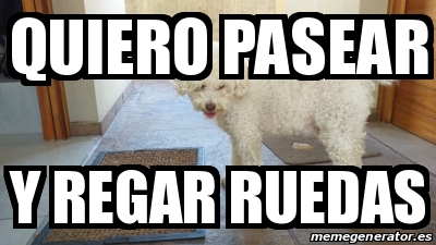 Meme Personalizado - Quiero pasear Y regar ruedas - 31433923