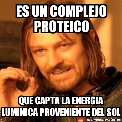 Meme Boromir - es un complejo proteico que capta la energia luminica ...