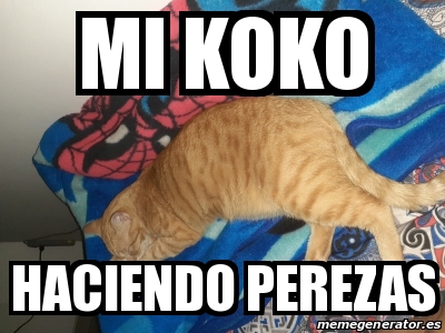 Meme Personalizado - Mi koko Haciendo perezas - 31437124
