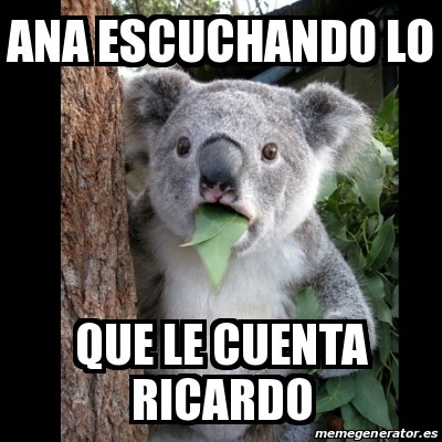 Meme Koala - Ana escuchando lo que le cuenta ricardo - 31439457