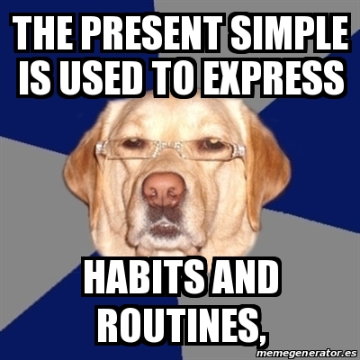 Meme Perro Racista - The present simple is used To express habits and ...