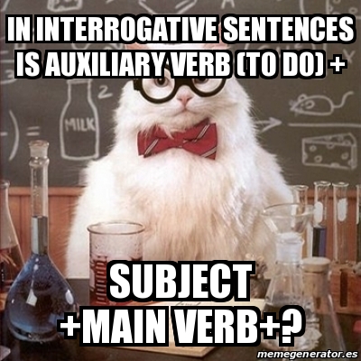 Meme Chemistry Cat - in interrogative sentences is Auxiliary verb (to ...