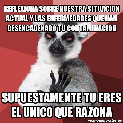 Meme Chill Out Lemur - reflexiona sobre nuestra situacion actual y las ...