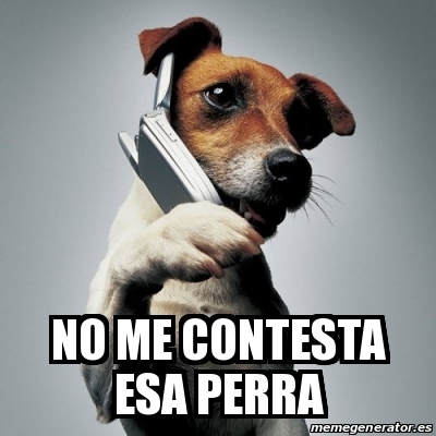 Meme Personalizado - No me contesta esa perra - 31447970