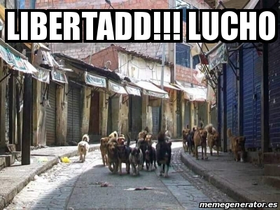 Meme Personalizado - Libertadd!!! Lucho - 31449532