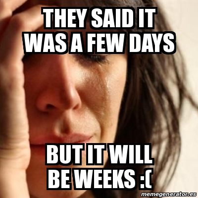 Meme Problems - they said it was a few days but it will be weeks ...