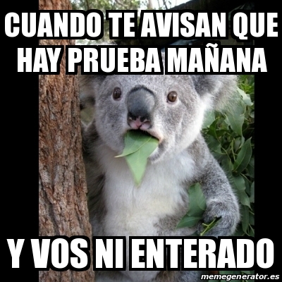Meme Koala - cuando te avisan que hay prueba maÃ±ana y vos ni enterado ...