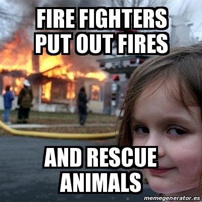 Meme Disaster Girl - fire fighters put out fires and rescue animals ...