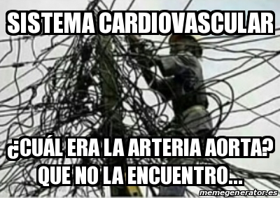 Meme Personalizado - sistema cardiovascular Â¿cuÃ¡l era la arteria ...