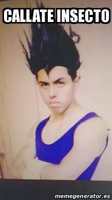 Meme Personalizado - Callate insecto - 31458141