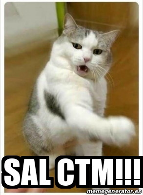 Meme Personalizado - Sal ctm!!! - 31462237