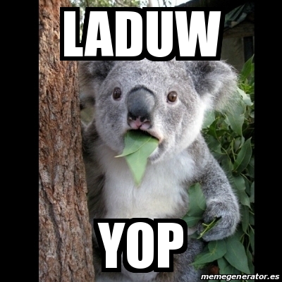 Meme Koala - Laduw Yop - 31462391