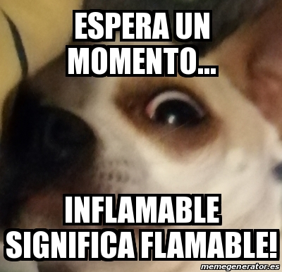 Meme Personalizado - Espera un momento... Inflamable significa flamable ...