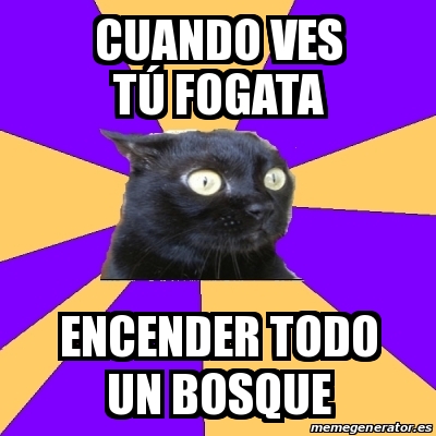 Meme Anxiety Cat - Cuando ves tÃº fogata Encender todo un bosque - 31462677