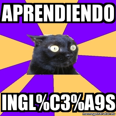 Meme Anxiety Cat - Aprendiendo Ingl%C3%A9s - 31471309