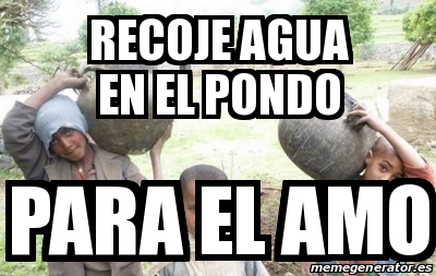 Meme Personalizado - recoje agua en el pondo para el amo - 31471512