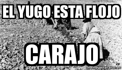 Meme Personalizado - el yugo esta flojo carajo - 31471616